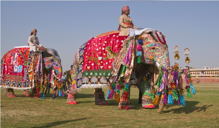 Elephant Fair Festival (Rajasthan)